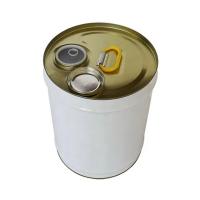 China 19L 5 Gallon Steel Tight Head Pail With Flex Spout Lid For Thinner for sale