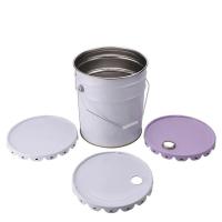 China UN Rated 5 Gallon Metal Drums With Flower Edges Lid And Spout for sale