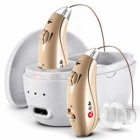 China Noise-canceling hearing aids, rechargeable, single pack, designed specifically for people with hearing impairments. for sale