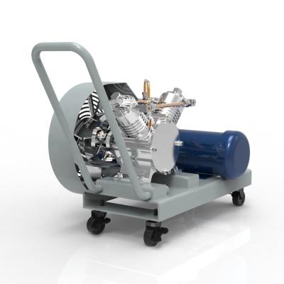 China 230V 50Hz 3PH Butane Recovery Pump For Food And Beverage Factory for sale