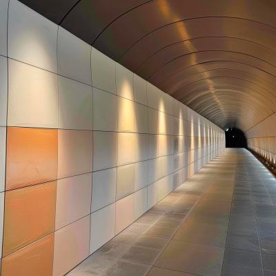 China Durable Weather-Resistant Vitreous Enamel Panel For Exterior Cladding for sale