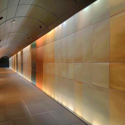 China Vitreous Enamel Panel 1.5mm Thickness 2500mm Length for Industrial Wall Cladding for sale