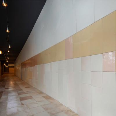 China Artistic Expressive Vitreous Enamel Panel For Creative Architectures for sale