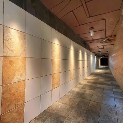 China Expanded Large-Scale Vitreous Enamel Panel 2500x1400mm for Architectural Cladding for sale