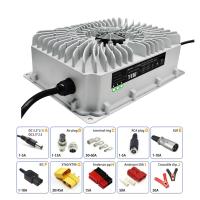 China 40A 24V Lead Acid Battery Charger Universal For Lifeboat E Boat for sale