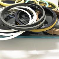 China 2976848-G 3195647 2578422 Hydraulic Cylinder Excavator Arm Boom Bucket Seal Kit for sale