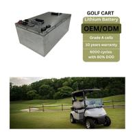 China Customizable Electric Golf Cart Lithium Battery 96v100ah Electric Golf Trolley Battery for sale