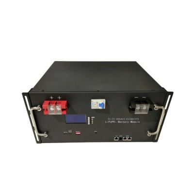 China Modular Home Energy Storage System 16S 51.2v100ah Lifepo4 Rack Mounted Batteries for sale