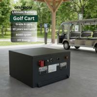 China Custom Made 72V 96V Lithium Battery 48V300AH Low Speed Electric Car Battery for sale