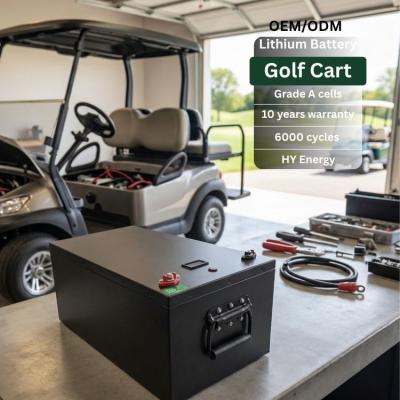 China High Capacity 48V 51.2V 100AH 200ah 300ah Electric Golf Cart Battery for sale