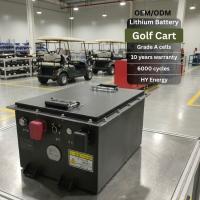 China OEM Electric Tricycle Battery 48v100ah 200ah 300ah Lithium Battery for Golf Car for sale