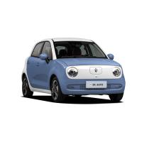 China ORA BLACK CAT Mini EV Car 4-Seater Electric Vehicle 301-405 km Range 35-45 kW Power CE Certified for sale