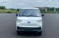 China Qiwei Auto Changjiang No. 7 Electric Cargo Van with 6.6 m³ Cargo Volume, 260 km Range, and 60 kW Motor for sale