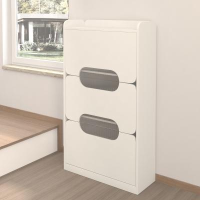 China FurnitureR Mirrored Shoe Cabinet Stylish Storage for Shoes for sale