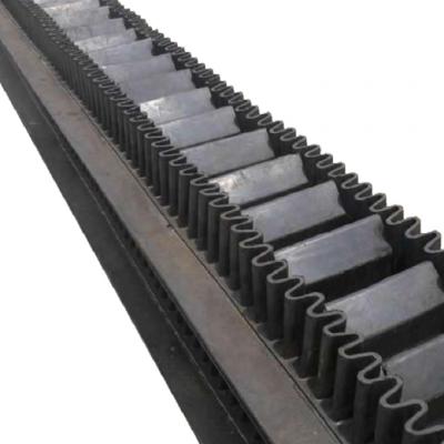 China EP100 EP150 EP200 Black 0-90 degrees Skirt Conveyor Belt for sale
