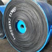 China Heat Resistant Special Conveyor Belts ST1600 for sale