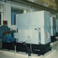 China High-Voltage Asynchronous Motor for Steel Industry for sale