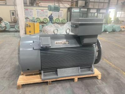 China IP55 F‑Insulation High Voltage Induction Motor 1485RPM for Metallurgy Compressor Equipment for sale