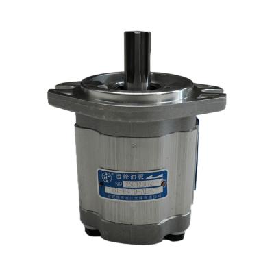 China Changyuan Hydraulic Gear Oil Pump for Sanitation Vehicles, Dual-Function Oil Circuit Hydraulic Pump for sale