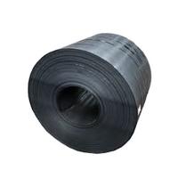 China Carbon Steel Sheet Cold Rolled Steel Sheet In Coil For Instrutry for sale