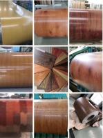 China Cheap Price Ppgi Steel Coil And Sheet Color Coating Steel Material Factory for sale