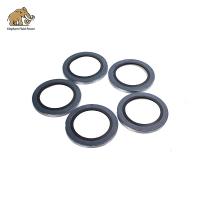 China Direct Factory BAOFSFX7  112.5*145*13.9 SS  For Polcalin MS Radial Motor Repair Kit Shaft Seal For Repairing for sale