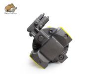 China Crane Spare Parts High Quality A10VSO71DFR1 Hydraulic Pump For Cranes OEM Fast Delivery for sale