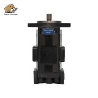 China VOLLVO CAST IRON GEAR PUMP VOE 14561971  FOR ORIGINAL REPLACEMENT for sale