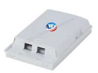 China 2 Ports FTTH Distribution Box Optical Telecommunication System Indoor Wall Mounted for sale