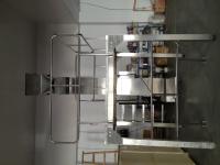 China Sunflower Seeds Packing Machine EM-200M International Standard for sale