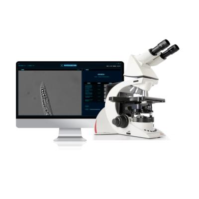 China Al Pinewood Nematode Identification System for sale