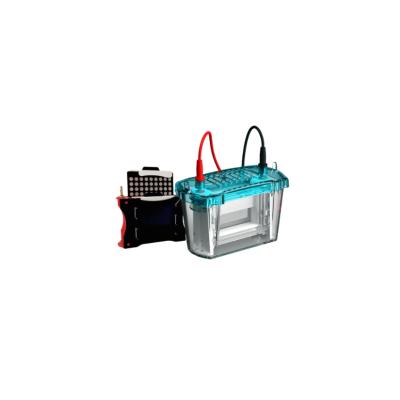 China Western blot transfer cell for sale