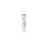 China 2×SuperTough Probe qPCR Master Mix (Universal) for sale