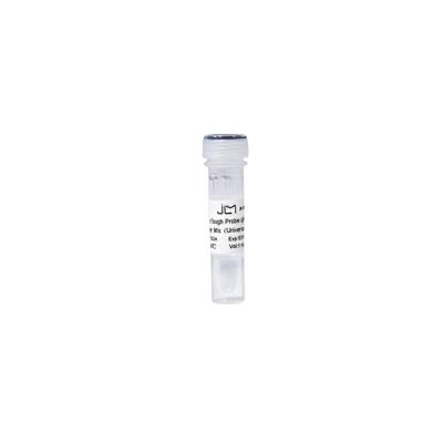 China 2×SuperTough Probe qPCR Master Mix (Universal) for sale