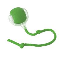 China Voice Control Pet Training Toys GPS Tracking Long Battery Life Bluetooth Remote Control for sale