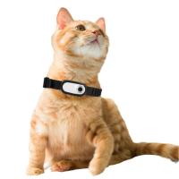 China HD 1080P Collar Mounted Pet Camera Battery Rechargeable Cat Dog Neck Camera for sale