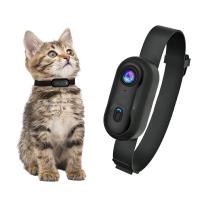 China Small Night Vision Pet Wearable Camera Collar HD 1080P Two Way Audio Voice Control for sale