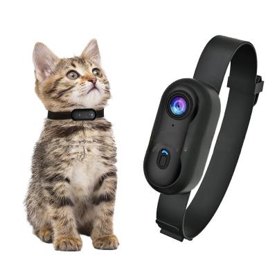 China Small Night Vision Pet Wearable Camera Collar HD 1080P Two Way Audio Voice Control for sale