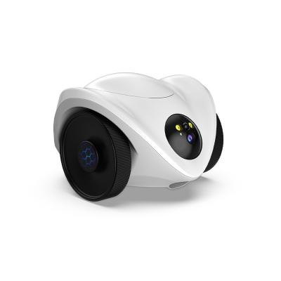 China HD Resolution IP67 Pet Monitoring Cameras Wireless Long Lasting Security Camera for sale