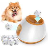China Subscription Box Agility Training Dog Training Academy Dog Sports Competition for sale