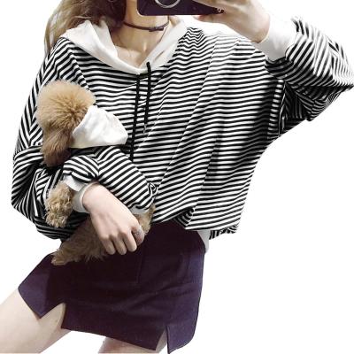 China Breathable Soft Button-Free Design Holographic Dog  Clothes Embroidered Pattern for sale