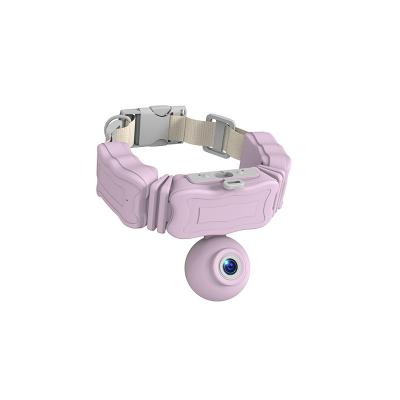 China Training Collar Activity Tracking GPS Tracker Geofencing Alerts Waterproof for sale
