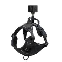 China No Monthly Fee GPS Tracker Long Battery Life Global Coverage Replacement Collar for sale