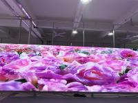 China Indoor P4 LED Display Screen 800cd/m² Brightness 140° View Angle for Advertising Wall Rental for sale
