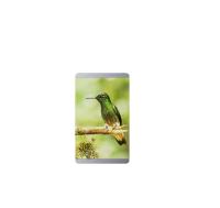 China Commercial Ultra Thin WiFi 4G LED Display Poster 2.5mm Pixel Pitch 640x960mm for sale