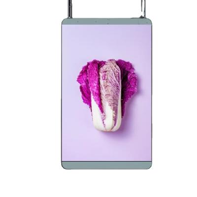 China Indoor LED Poster Screen P2.5 640x960mm High Brightness 5000cd for Shopping Mall Restaurant Advertising for sale