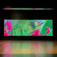 China Rental LED Display Screen P3.91 P4.81 Indoor Outdoor Customizable Video Wall for Church Stage Backdrop for sale