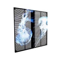 China Indoor Transparent LED Screen P7.81 800cd Brightness 1920Hz Refresh Rate for Retail Display for sale