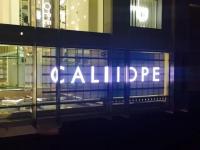 China Indoor Transparent LED Screen P3.91-7.82 1000x500mm Cabinet 65% Transparency Full Color Display for sale