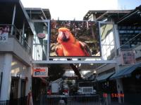 China Outdoor LED Display Screen 960x960mm Cabinet IP66 100000 Hours Lifespan for sale